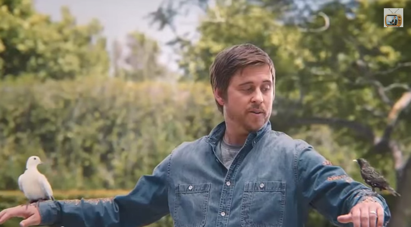 The Birdist: Birds at Large: Commercials - August 2014