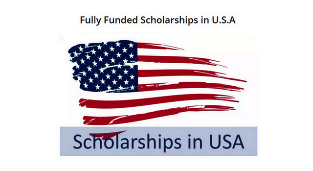 Scholarships in U.S.A : (ECA) offers many programs for non-U.S. citizens