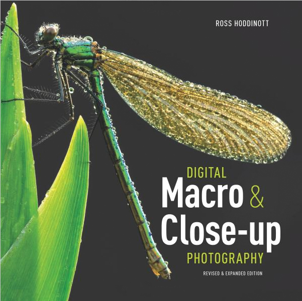 Matt Cole Macro Photography: Ross Hoddinott's Macro and Close Up ...