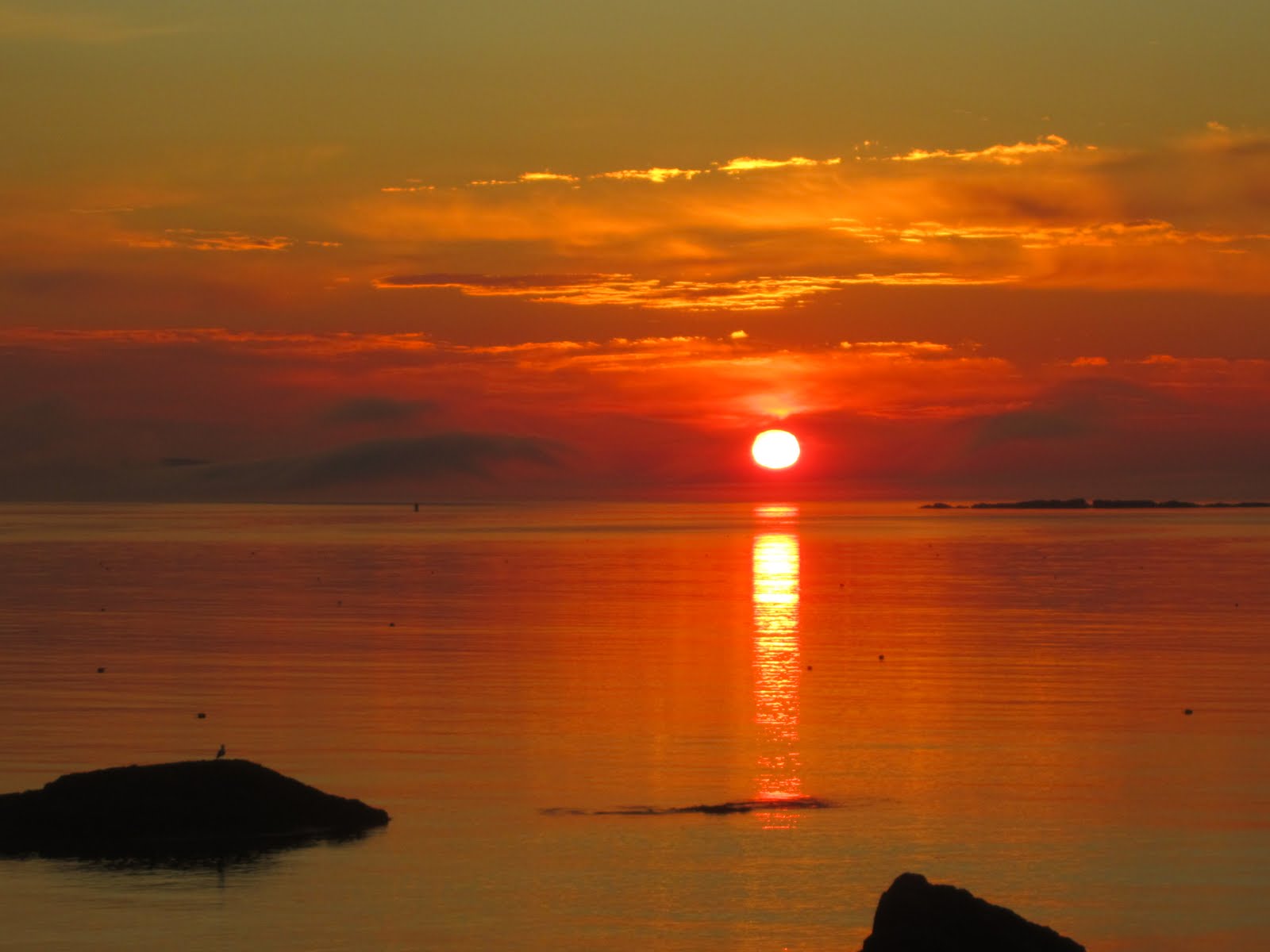 the sunrise blogger: sunrise through an August mist