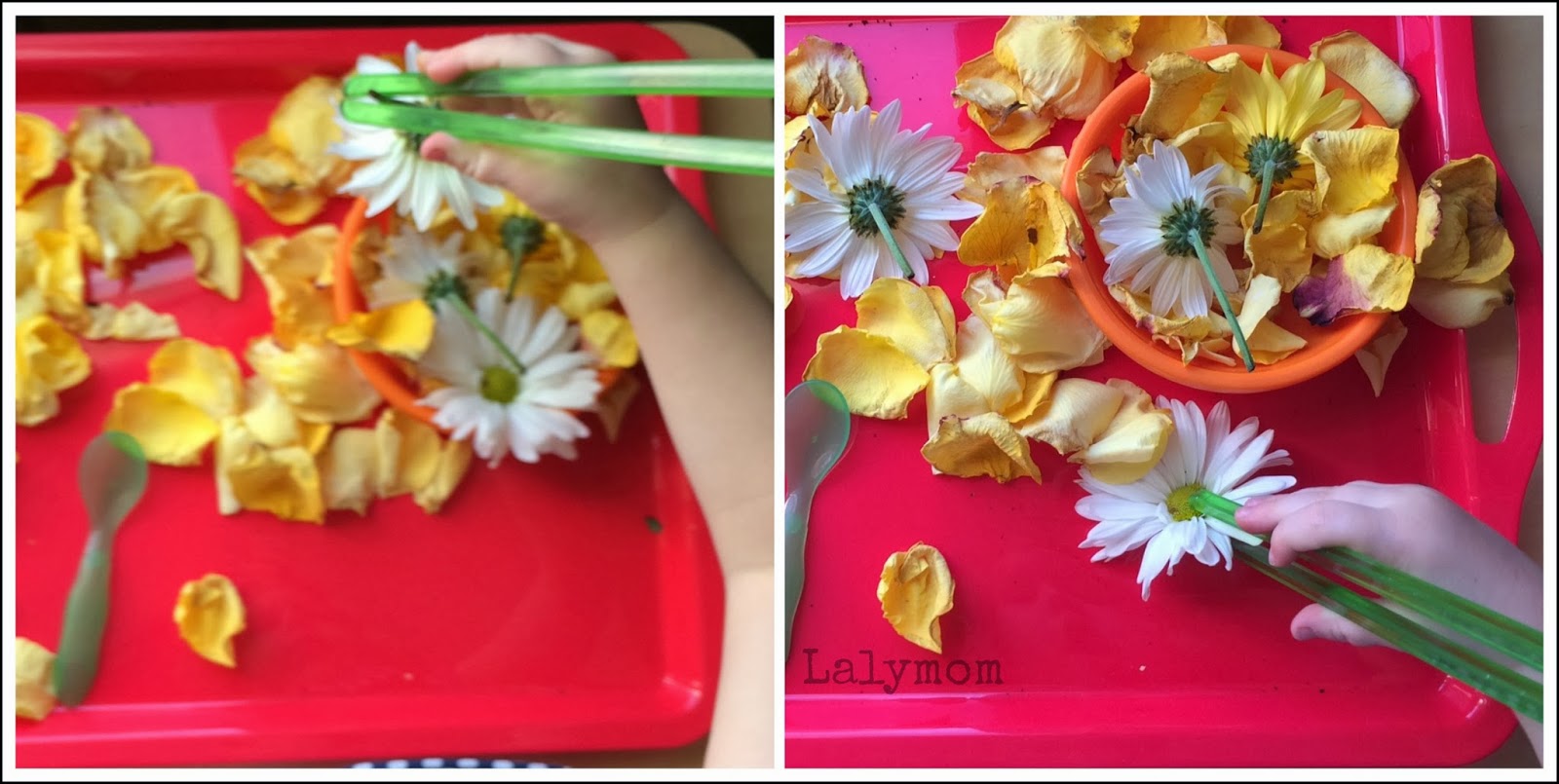 Easy Fine Motor Activities Using Fresh Flowers [Fine Motor Fridays ...