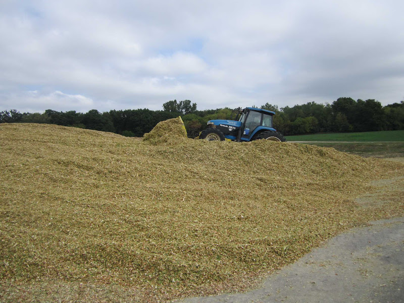 Wagner Feed: Silage cutting