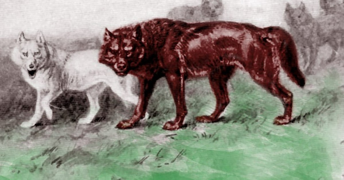 olsenhistory: Ernest Thompson Seton and the lessons he learned from ...