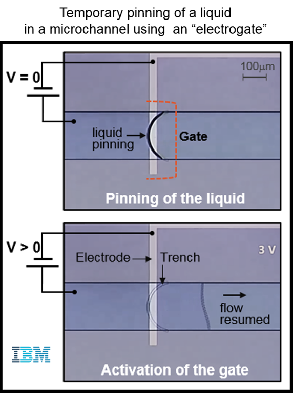 Reality-Virtualization_ RtoV: 2017