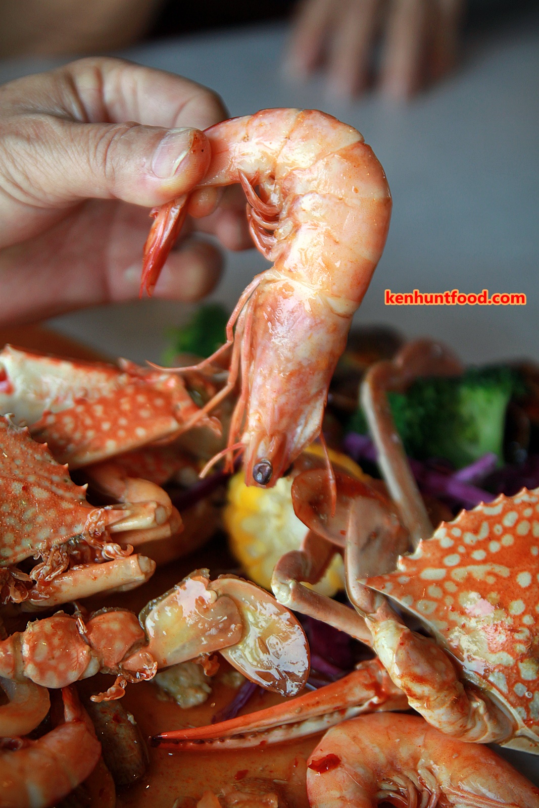 shell out fizzy cafe - Dylan Nolan