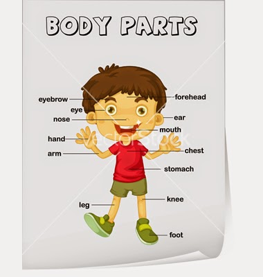 English is fun with Alice: PARTS OF THE BODY; SPELL AND GAME!