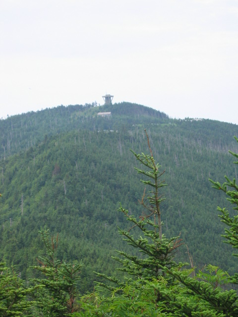 Til the Last Hemlock Dies: The Old Lookout Tower on Mount Mitchell