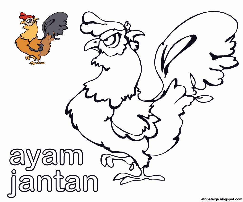 Mewarnai Gambar Ayam Jantan ~ Dunia Afrina