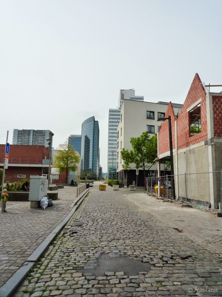 Bruxelles-Les-Oies: Baboes Schaerbeek: une merveille!