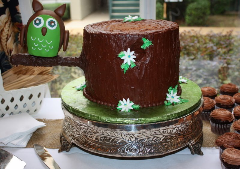 little pumpkin grace: rustic owls...a baby shower