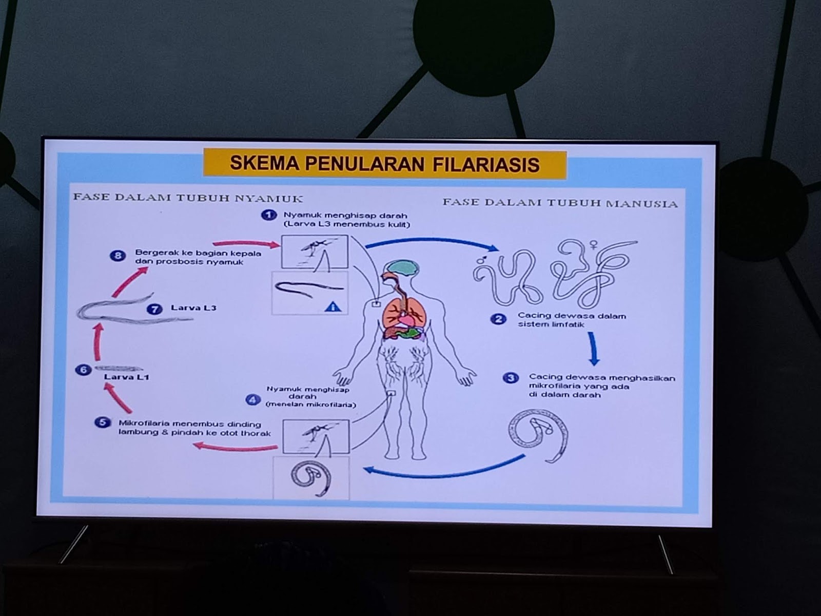 Risalah Husna: Tentang Filariasis Dan Pencegahannya