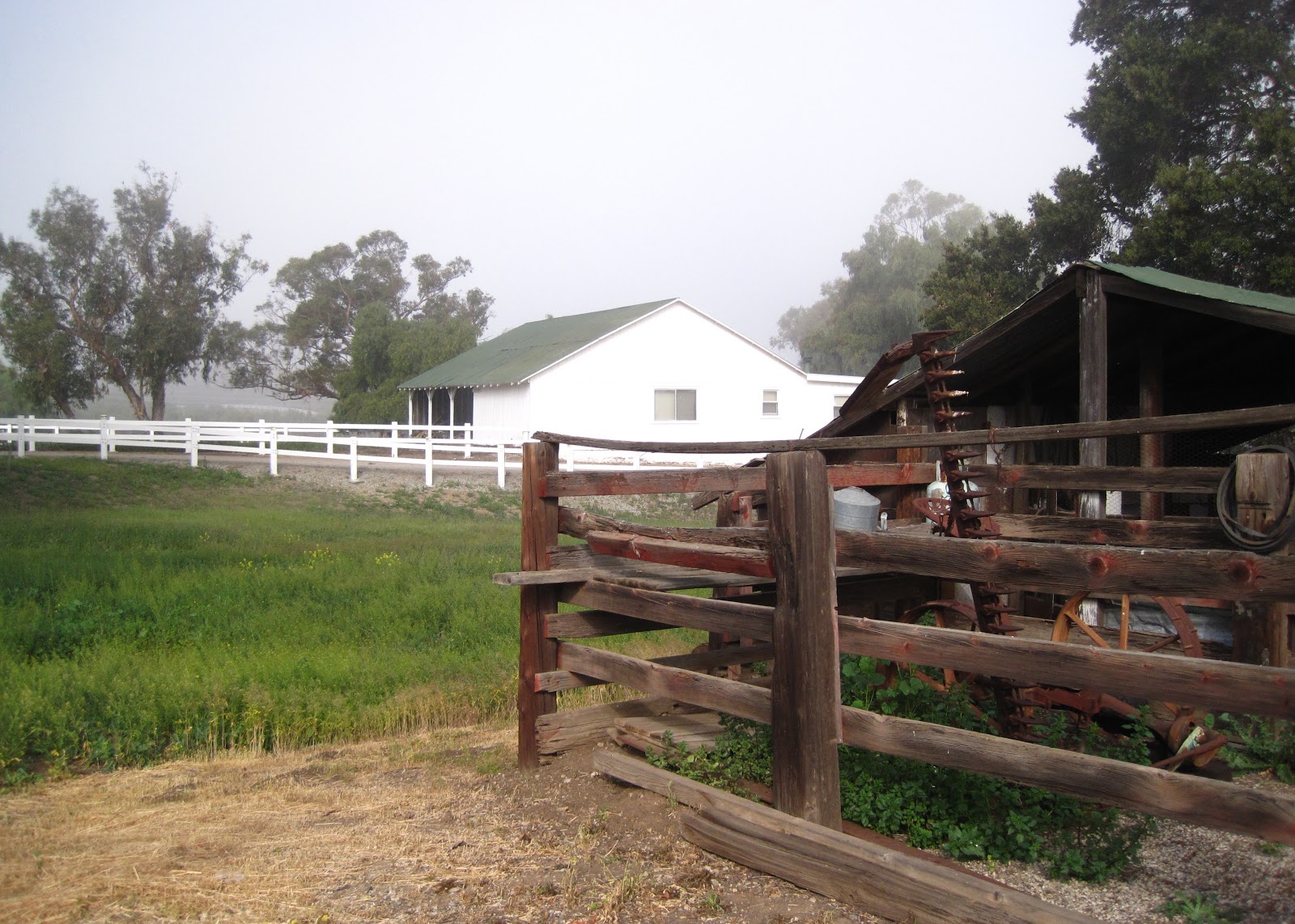 Pastel Society of the Gold Coast: Joel McCrea Ranch Pastel Paint Out!