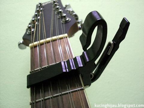 Please recommend capo