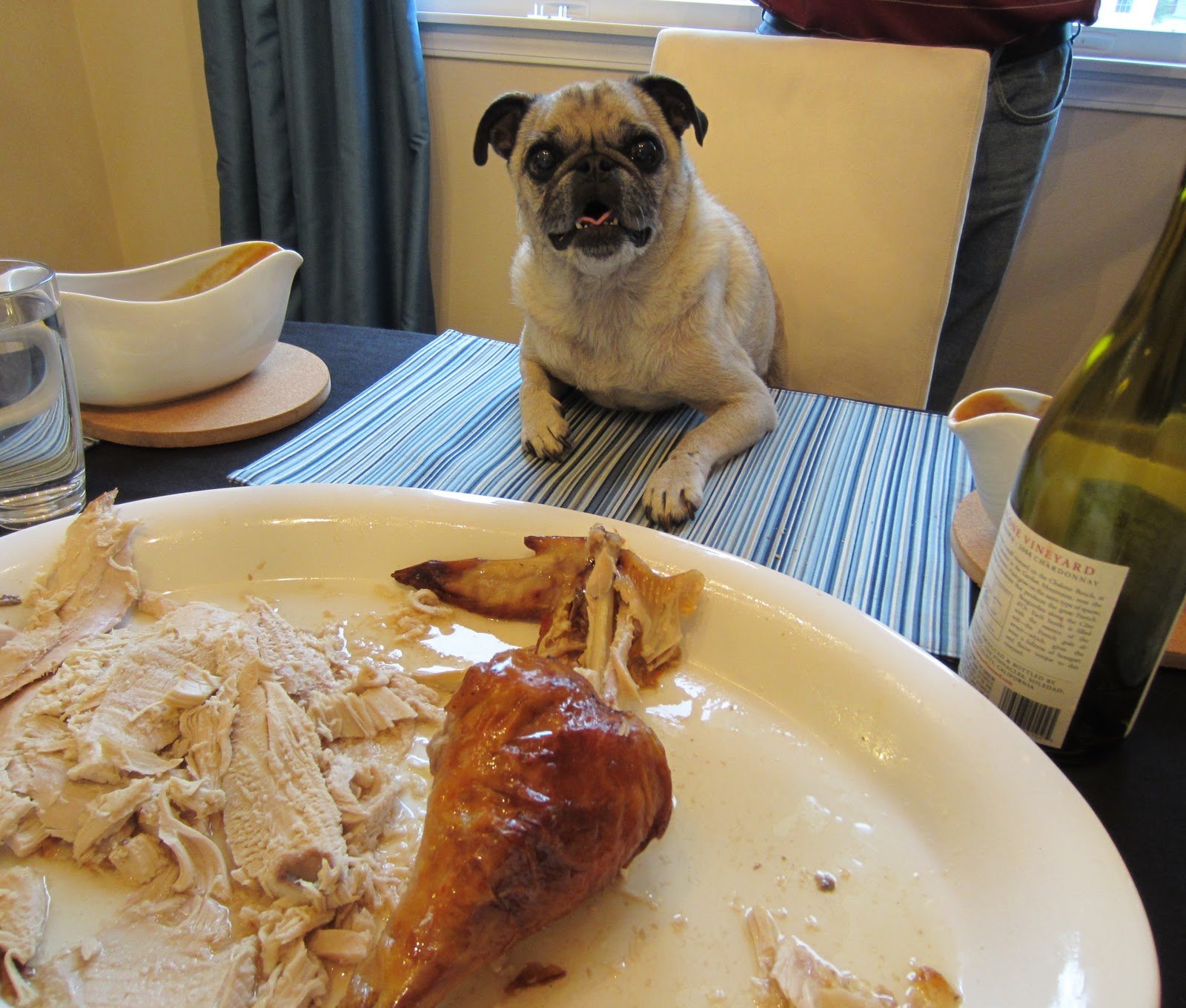 Pugnacious P: Thanksgiving and Christmas all in one weekend