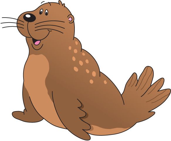 Foca animadas - Imagui