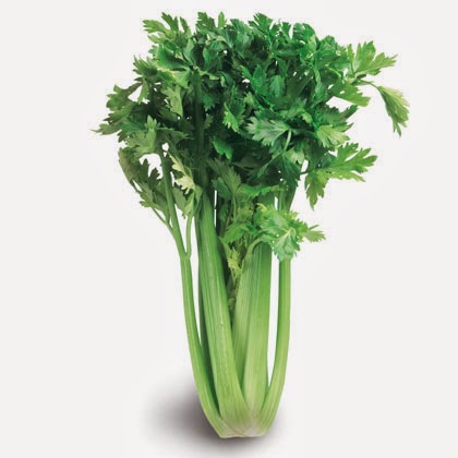 Jenis Sayuran Yang Boleh Ditanam Dalam Pasu