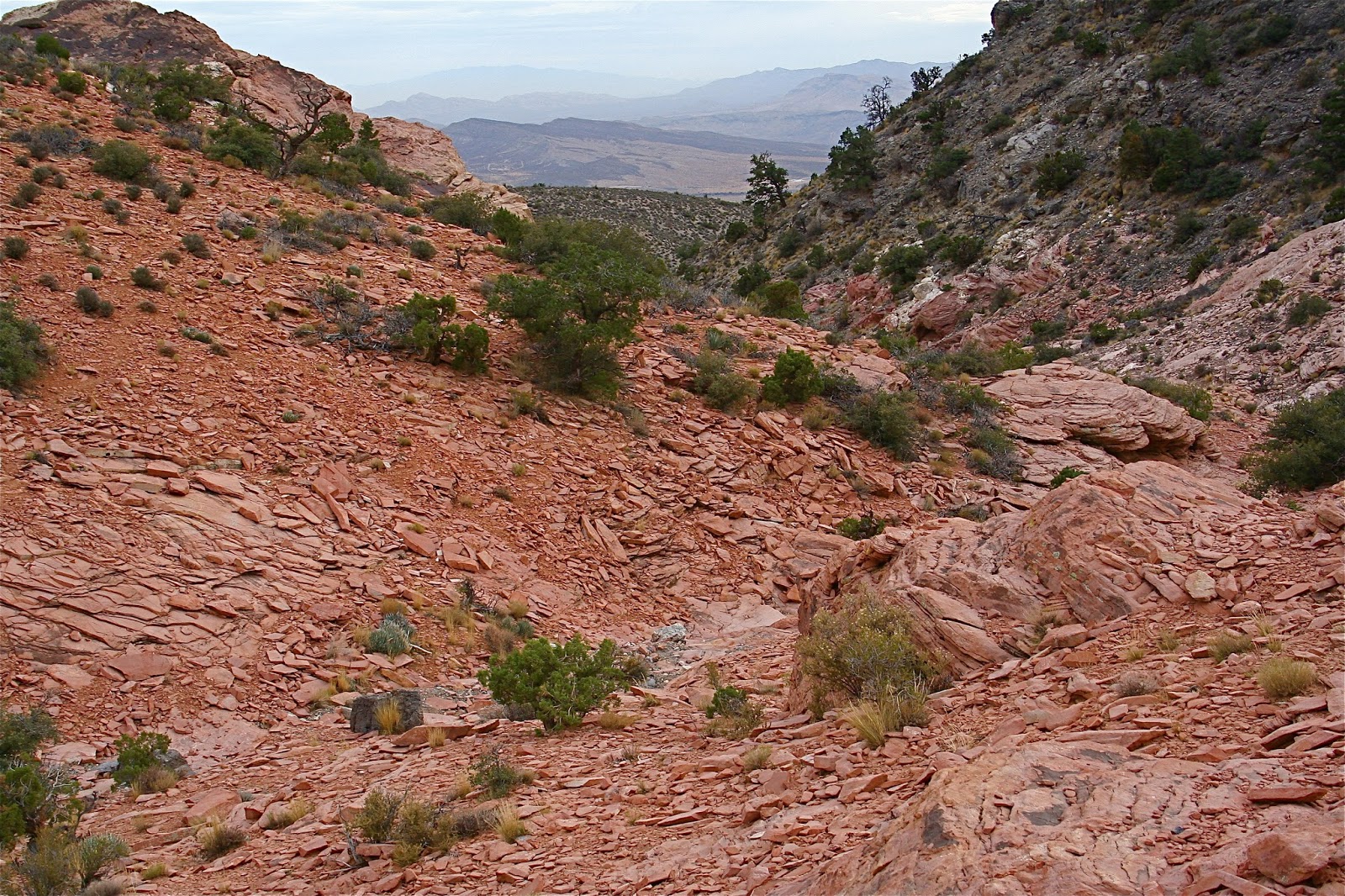 Wildfilm: Keystone Thrust Fault