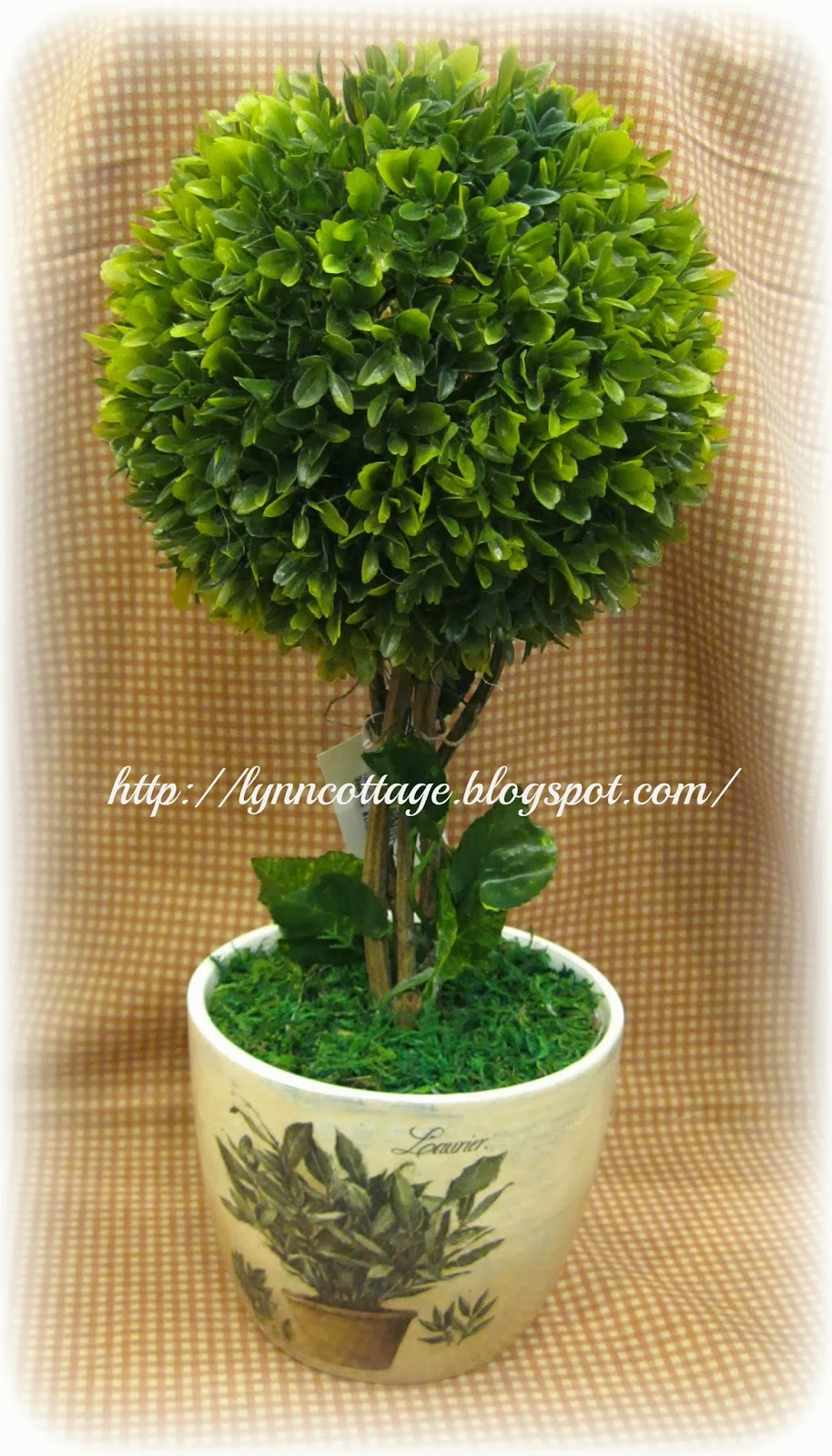 lynn's cottage: TOPIARI PLANT.............