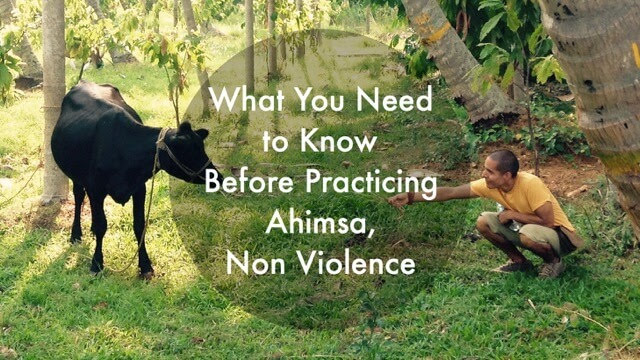 What You Need to Know Before Practicing Ahimsa, Non-Violence | Path to Yoga