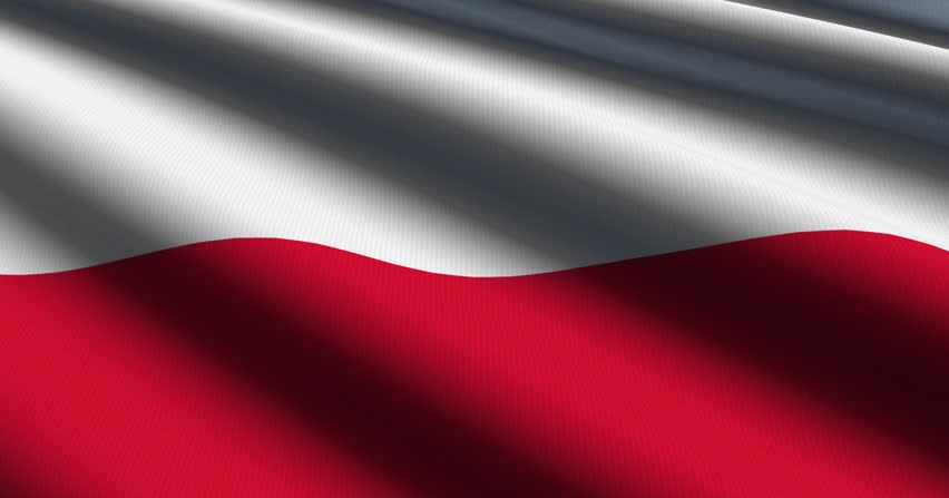 Fluxus.tv: New Polish Channels