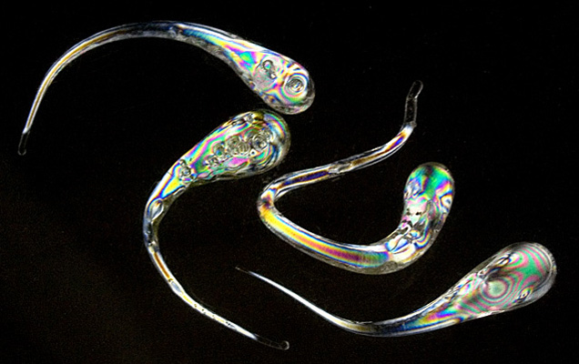 bensozia: Prince Rupert's Drops