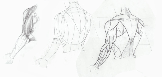 Draw Speak: Back of Arm Study