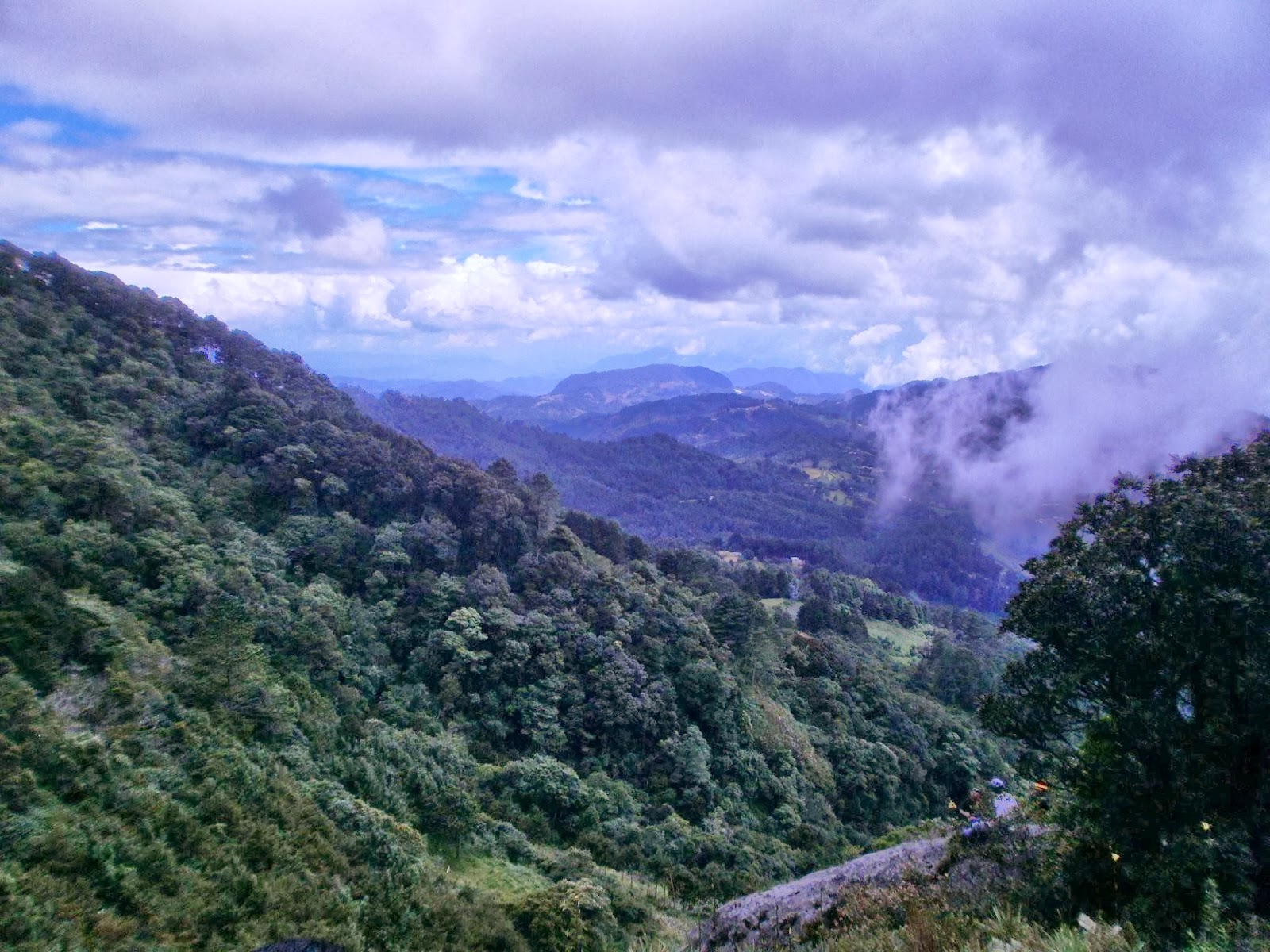 TURISMO TRES DESTINOS: REMEMBRANZA TOUR LA PALMA PITAL