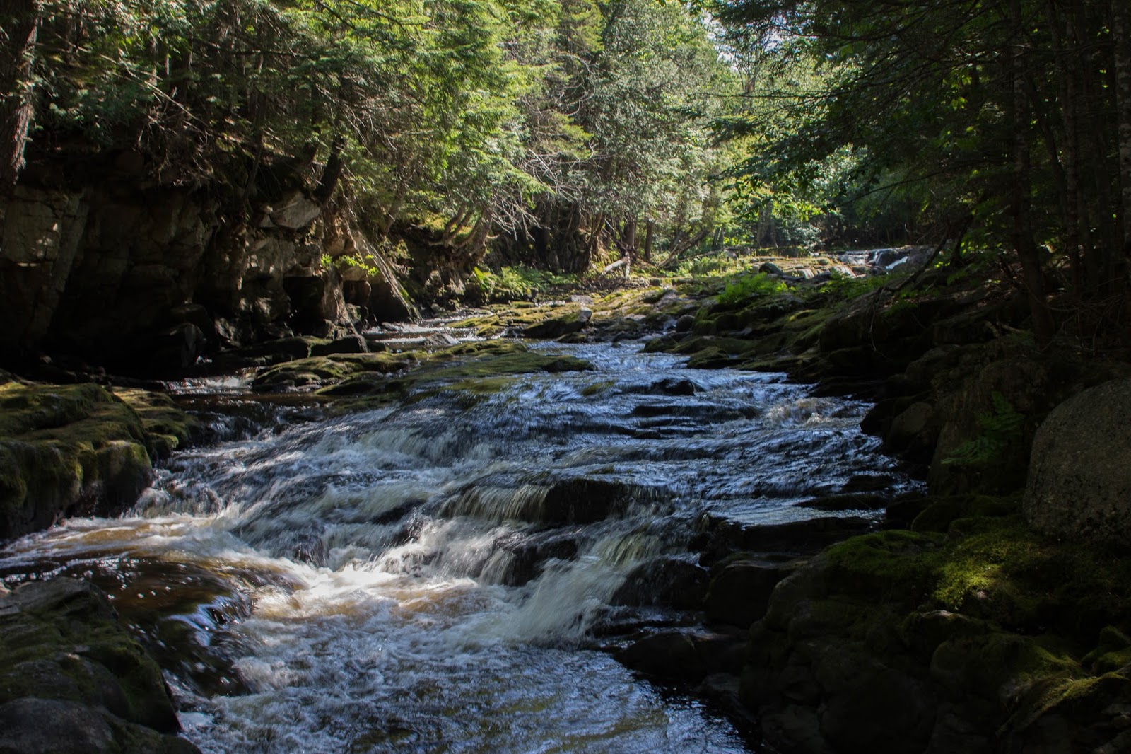 Waterfalls and More: Big Pokiok Falls