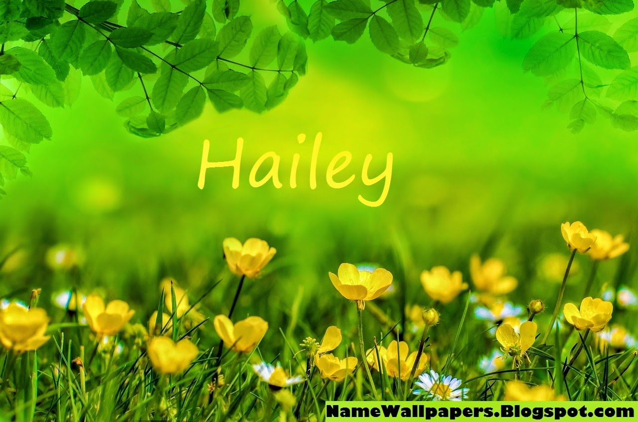 Hailey Name Wallpapers Hailey ~ Name Wallpaper Urdu Name Meaning Name ...