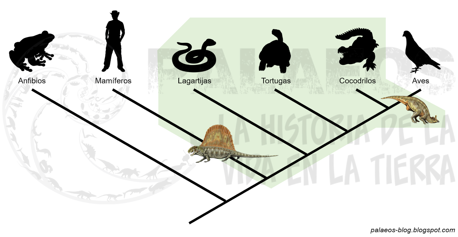 Palaeos, la historia de la Vida en la Tierra: Tres cosas que no sabías ...