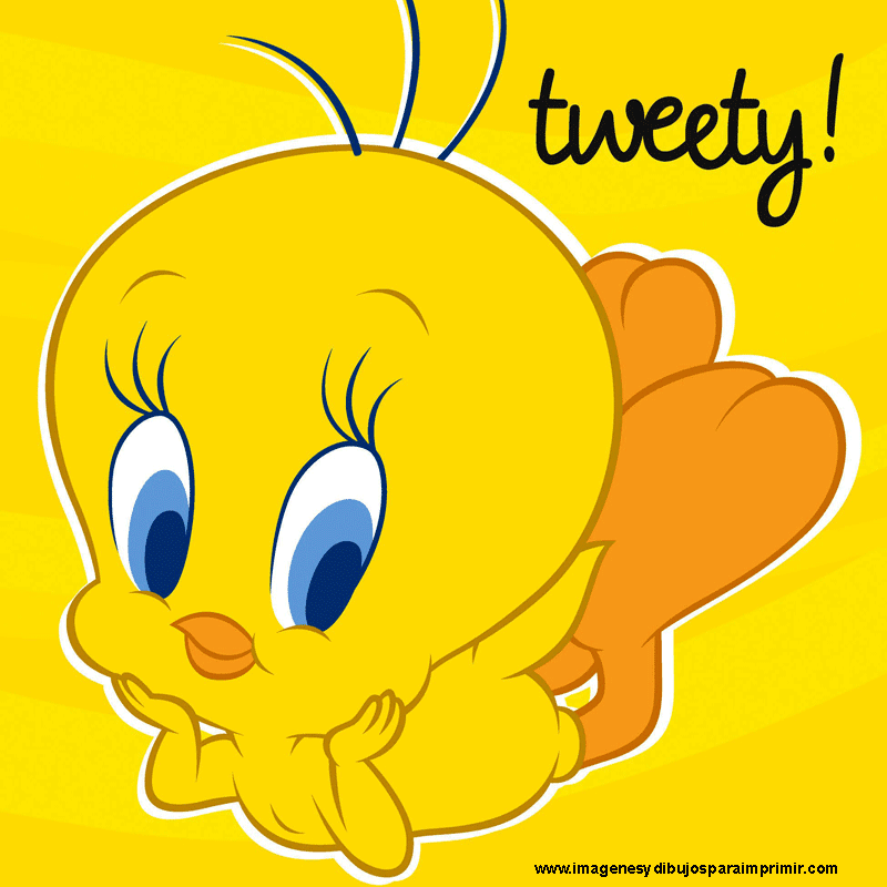 Imagenes de piolin | Imagenes y dibujos para imprimir