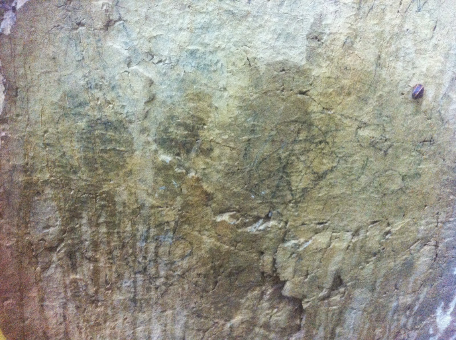 Lucrurile nu sunt niciodata ceea ce par a fi!: Desene Rupestre Valea ...