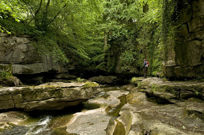 Around Scotland: HOW STEAN GORGE