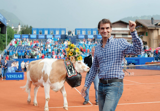 The GOAT Roger Federer - thoughts from Majorfedfan: Desiree the cow ...