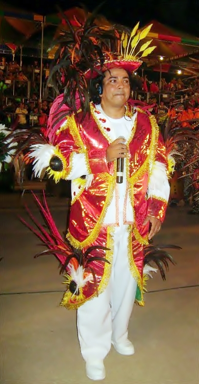 Boi Flor do Campo: Itens Oficiais