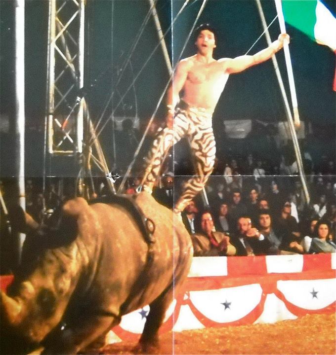 The Circus "NO SPIN ZONE": Circus Rhino's--Davio Togni