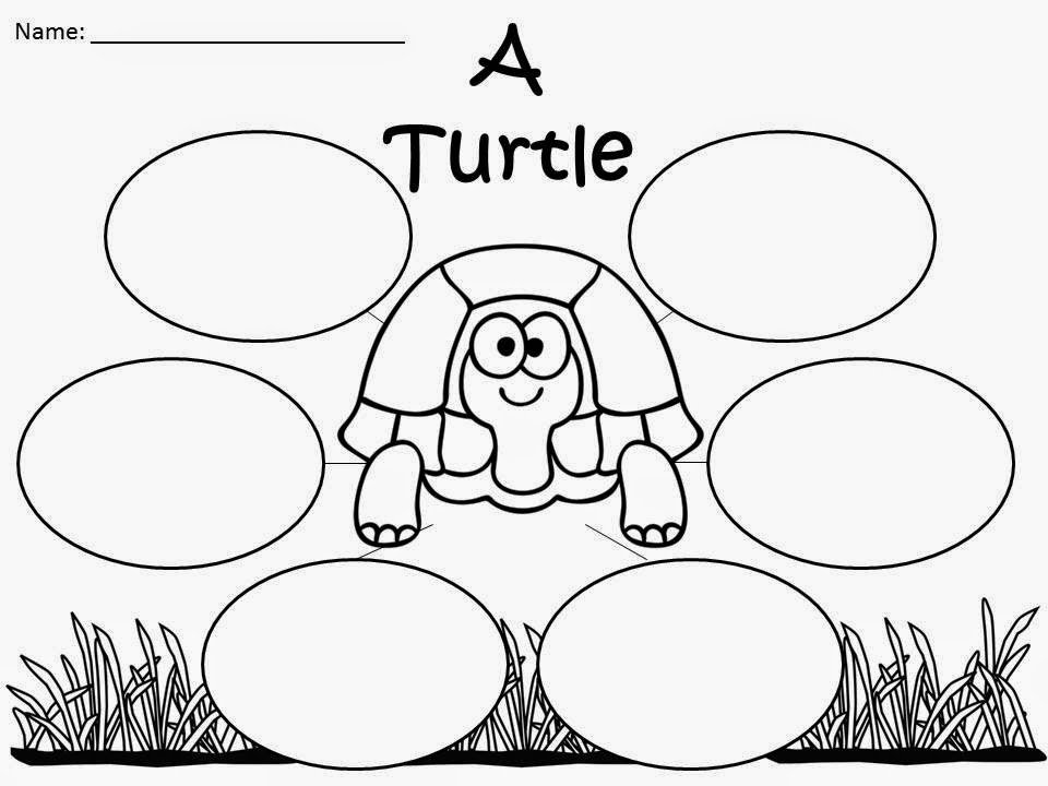 Fairy Tales And Fiction By 2: Have A Turtle-rific Summer Everyone!