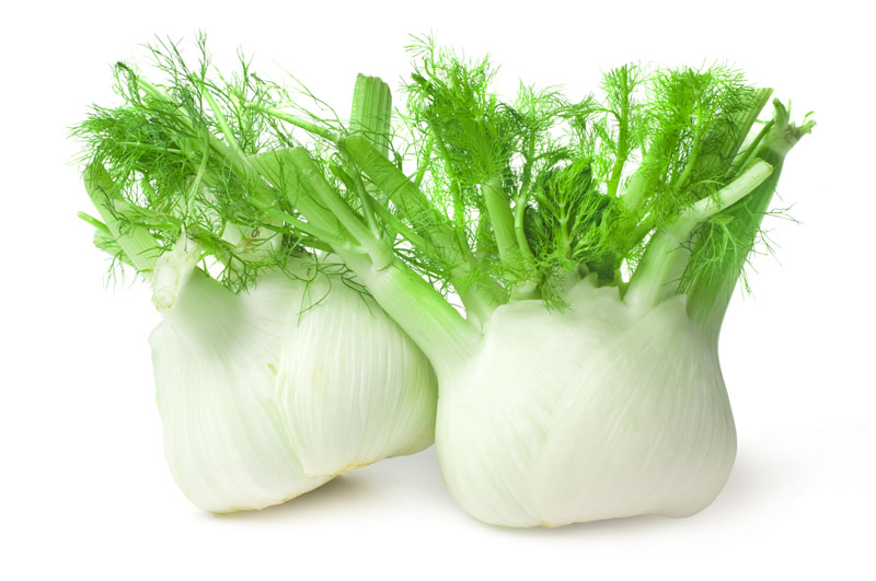 Mijn kookdagboek: Pasta met kip en venkel