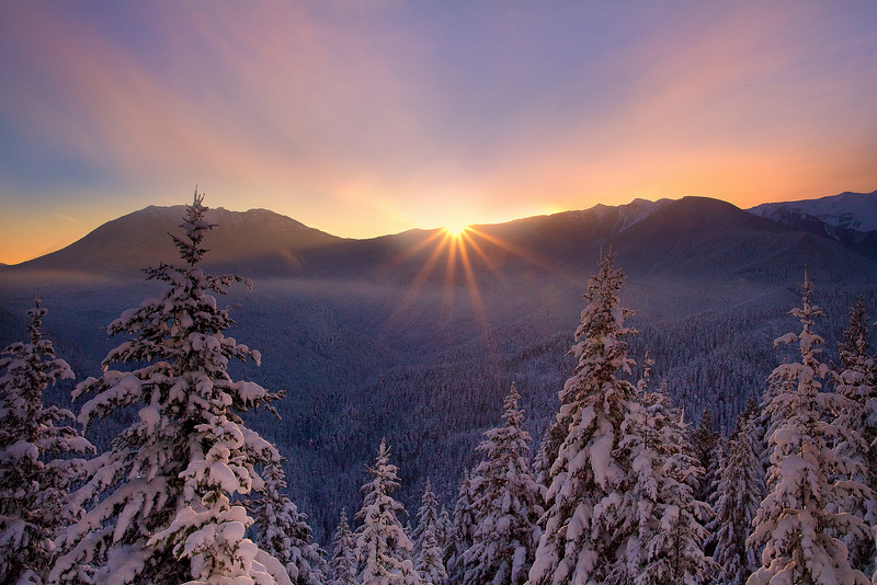 Twilighters Dream: Oregon in Winter