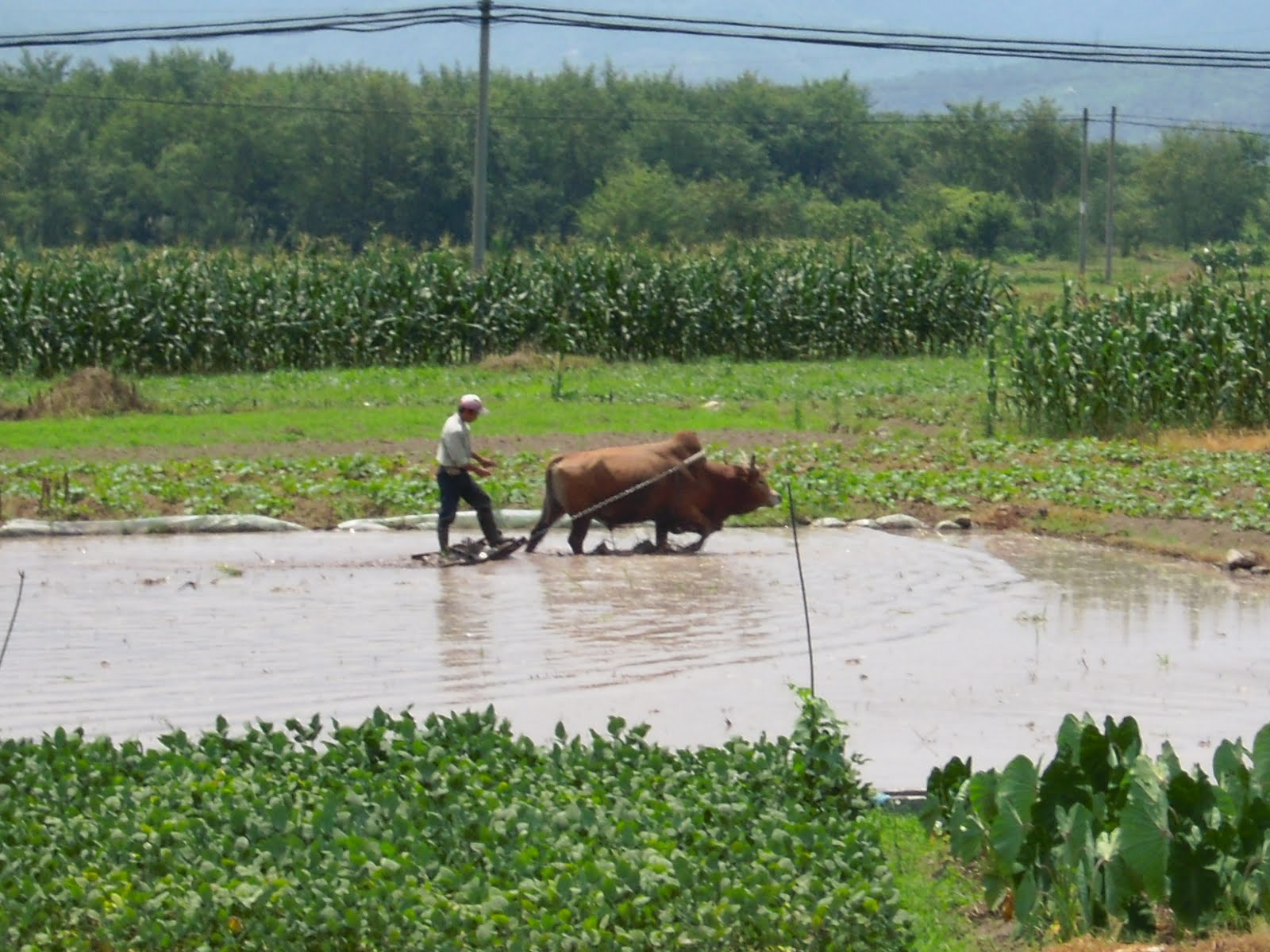 Trip around Asia: La Chine rurale