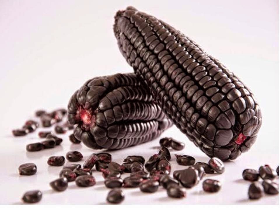 EL NEGOCIO DE LA SALUD: EL MAÍZ MORADO
