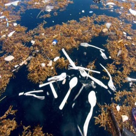 WILLOWWEAVERS TASMANIA: PLASTICcrap