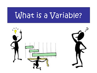 What are various types of Variables? ~ EduGyan