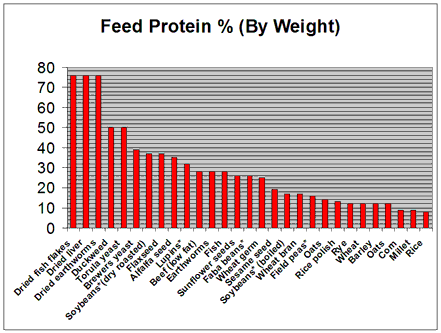 What Do Chickens Eat? A Guide to Chickens Food | Agri Gossip