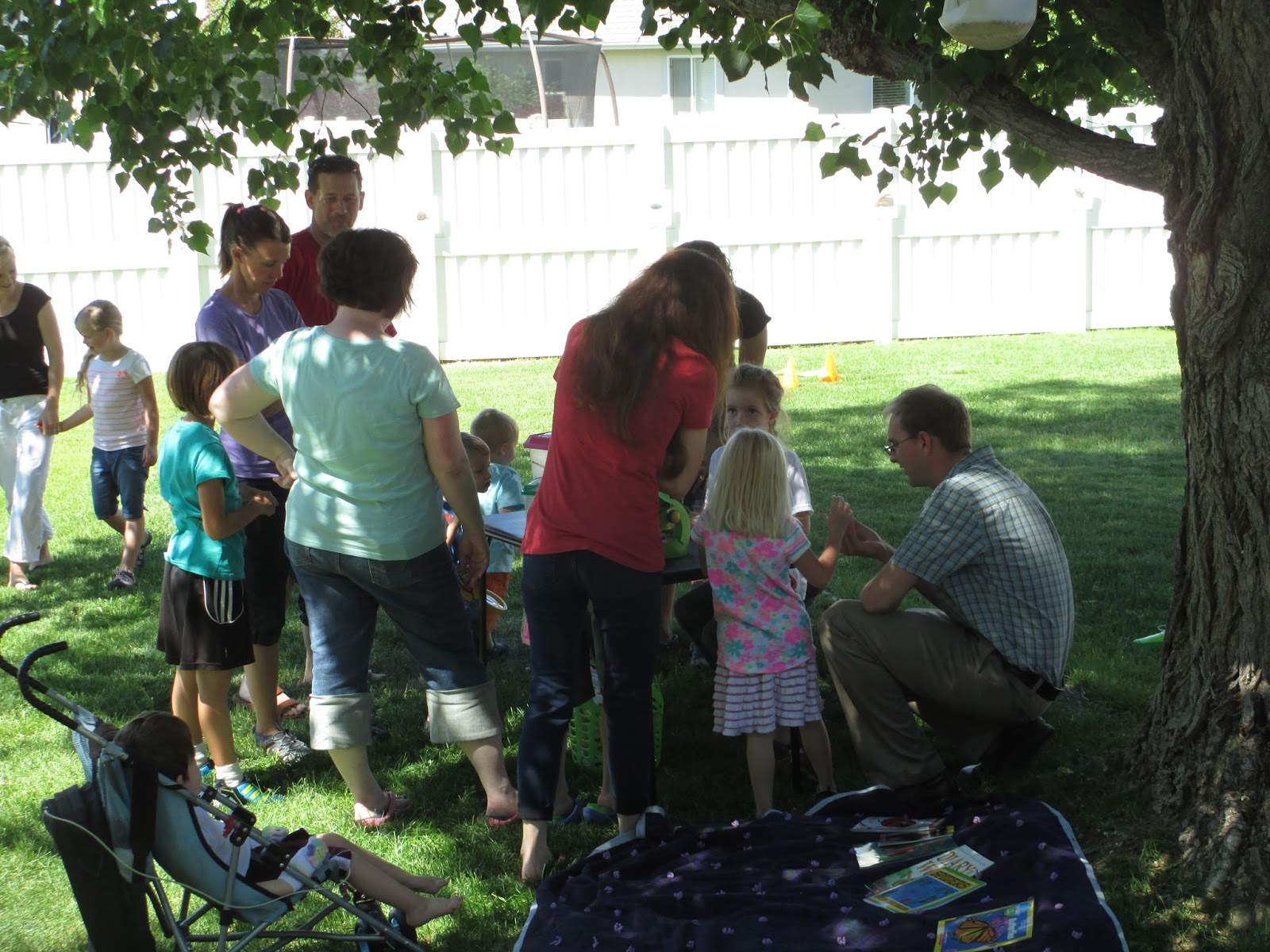 Summer Science Camps: Bug Camp Day 5 - The Culminating Activity