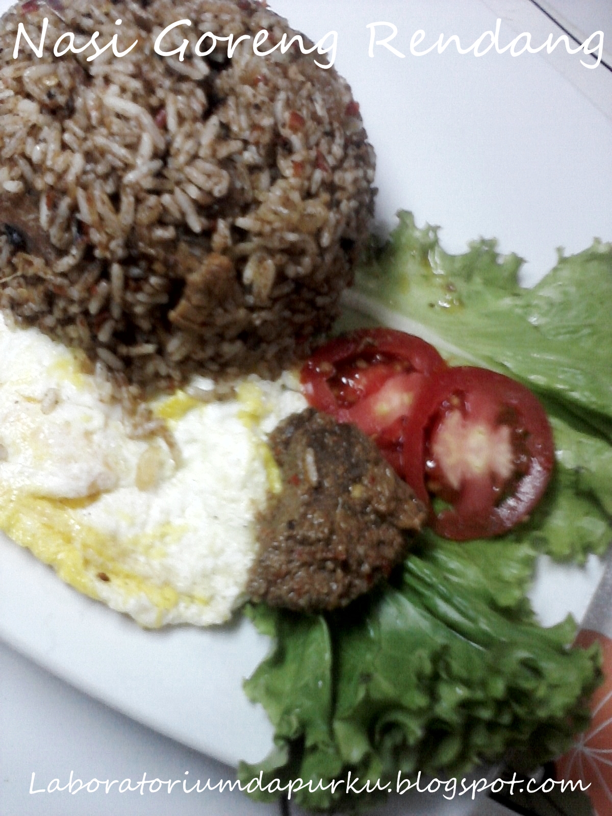 Dapur Meidina: Nasi Goreng Rendang