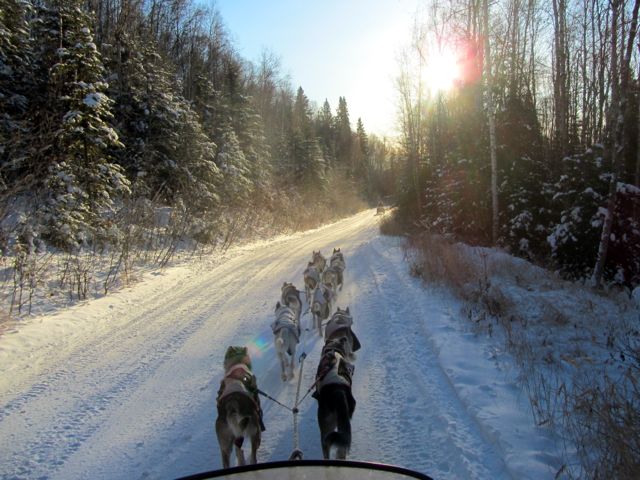A Stunning Day in Two Rivers, Alaska - SP Kennel