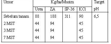 BKP4K SUMEDANG: Budidaya Kubis Bunga