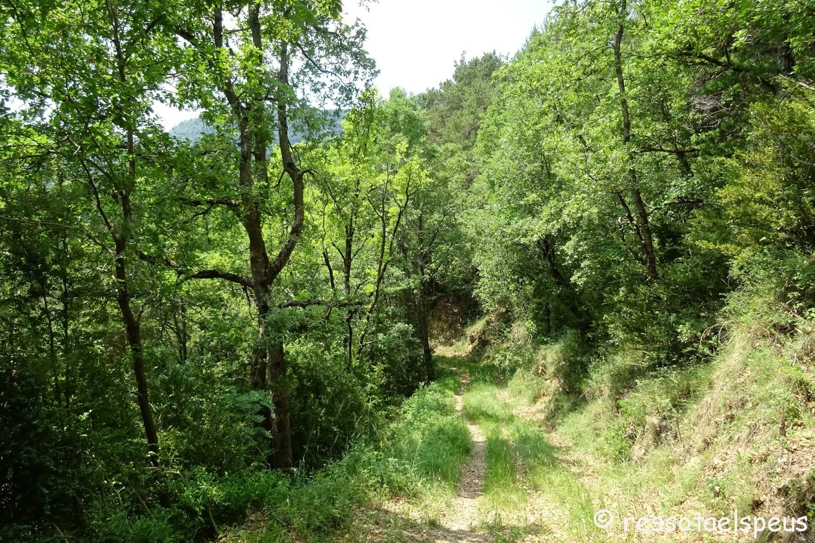 res sota els peus: Ruta pels pobles de la vall de Ribes