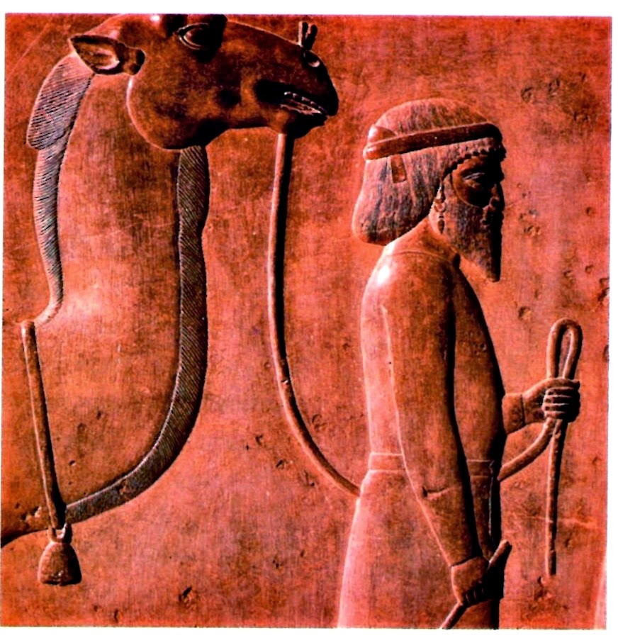 El Imperio Persa 559-331 a.C.